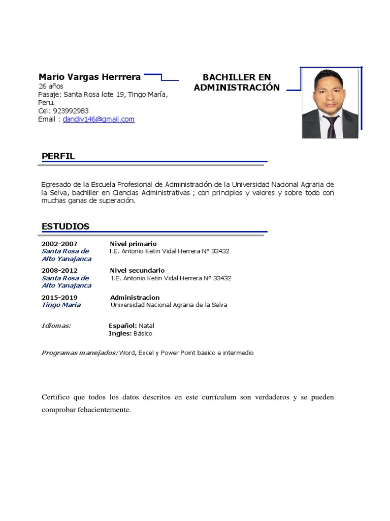 CV MARIO VARGAS H | PDF