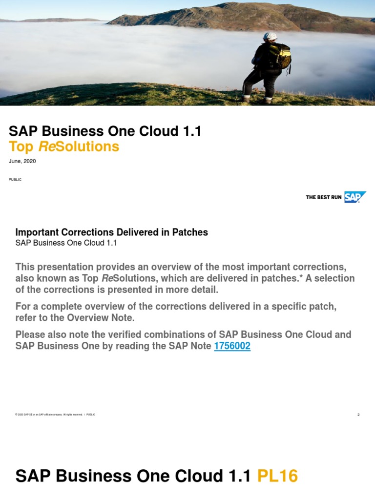 SAP Business One Cloud 11 Top Fixes | PDF | Remote Desktop Services | Cloud Computing
