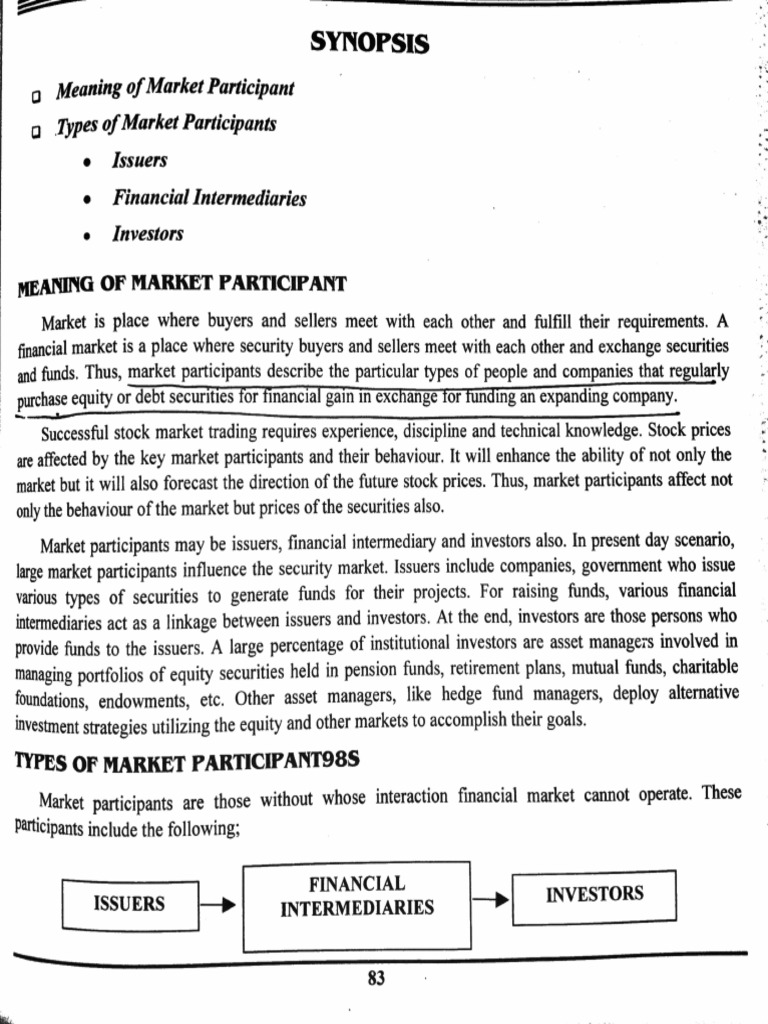 Stock Market Participants | PDF