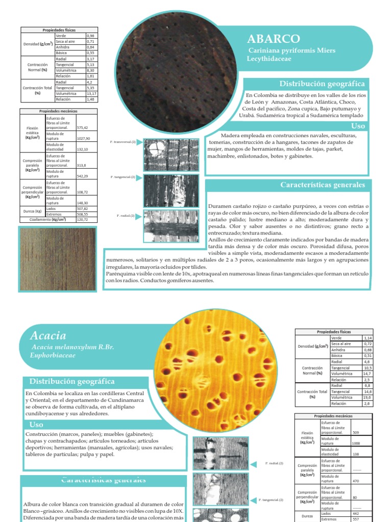 Catalogo Maderas Final Con Portada | PDF | Madera | Esfuerzo cortante