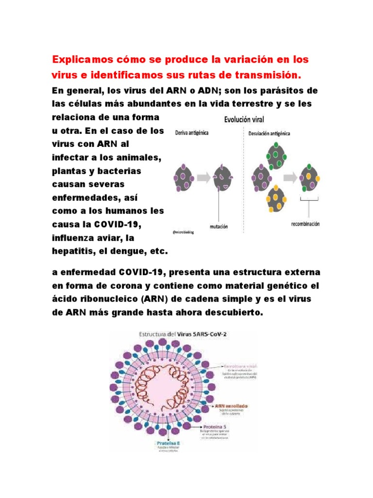 Variación y transmisión de virus | PDF | Virus | Mutación