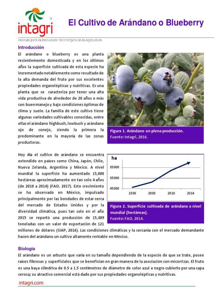 El Cultivo de Arándano | PDF | Suelo | Agricultura