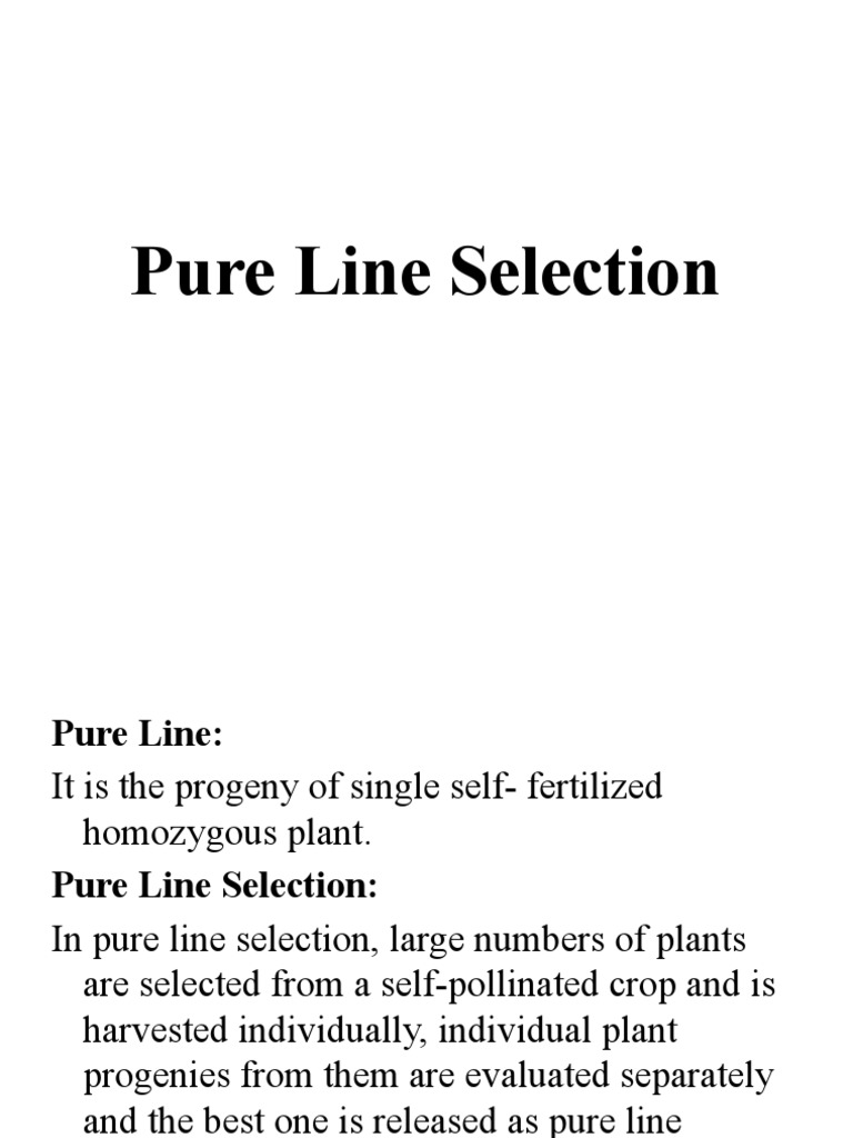 Pure Line Selection in Plant Breeding | PDF | Natural Selection | Phenotype