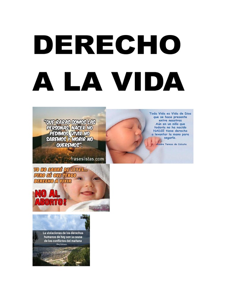Derecho a La Vida | PDF