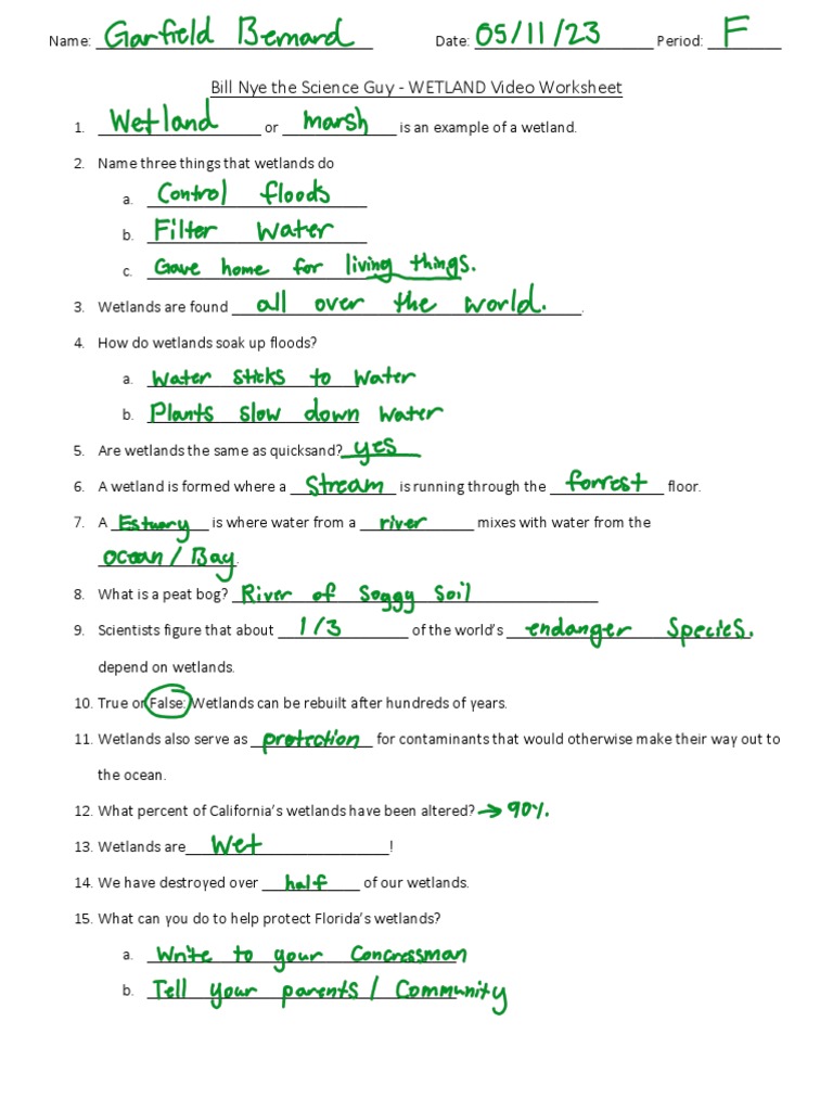 Bill Nye Wetlands Video Worksheet | PDF | Wetland | Water
