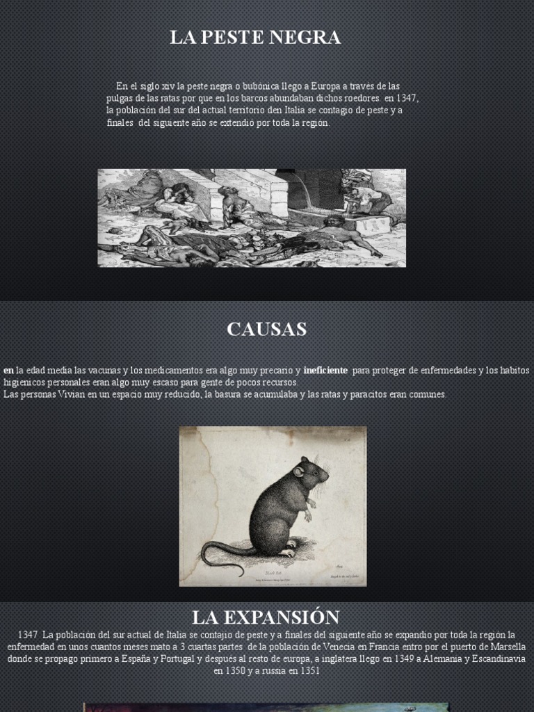 LA_PESTE_NEGRA[1][1] | PDF | Muerte negra | Desastres de salud