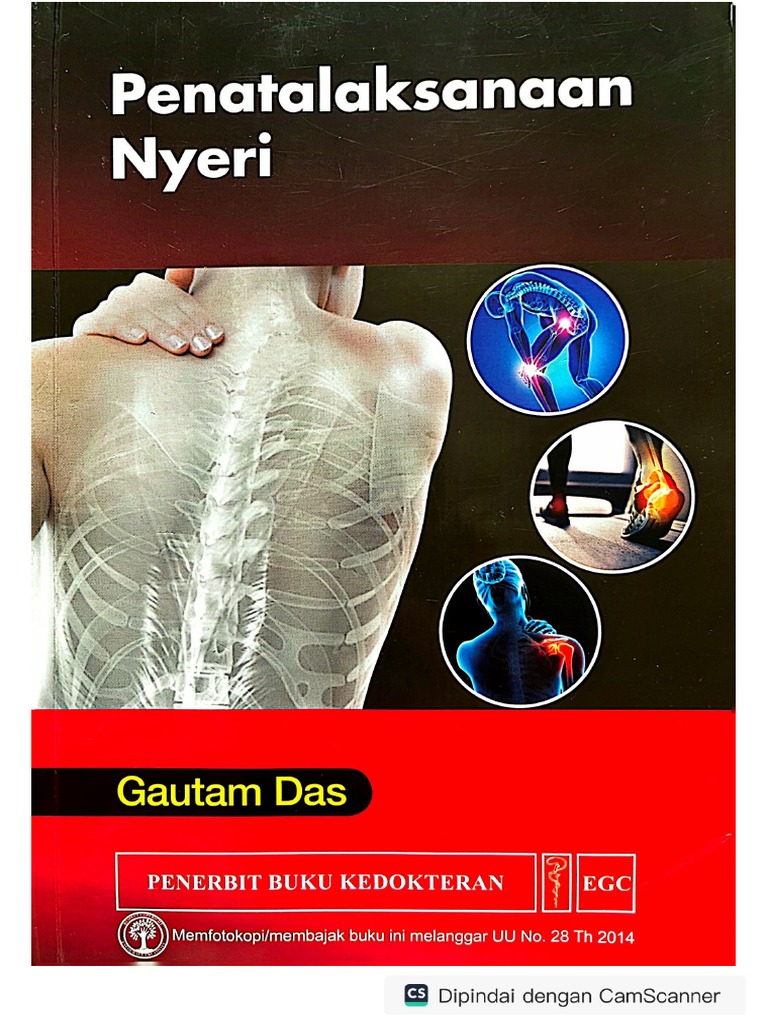 Penatalaksanaan Nyeri | PDF