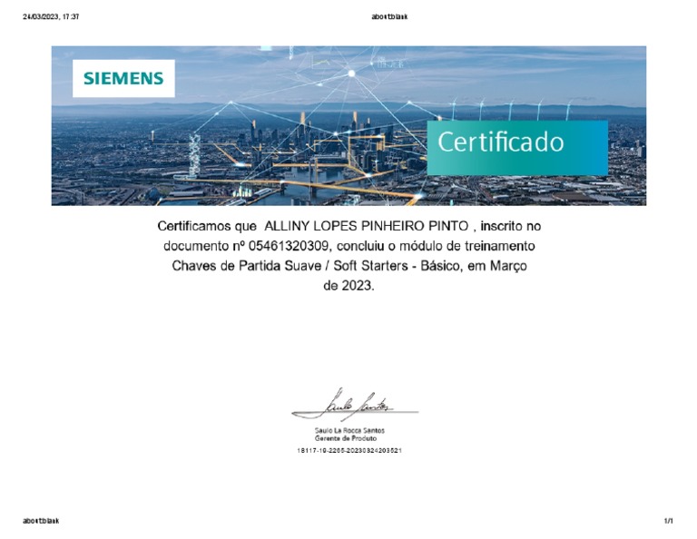 Treinamento Soft Starters Basico | PDF
