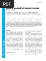 Biochemical Test and Identification of Pseudomonas Aeruginosa | PDF ...