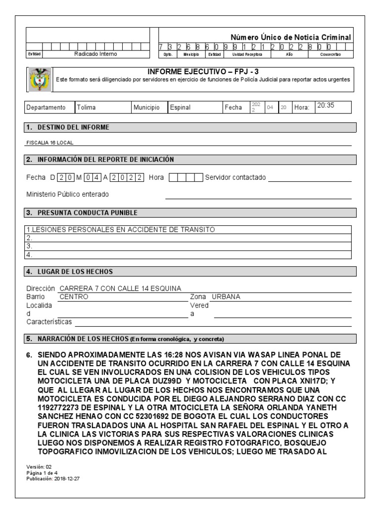 FPJ 3 Informe Ejecutivo V 02 | PDF