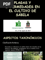 Elaboración de Venenos Naturales Ecológicos | PDF | Agua | Plantas