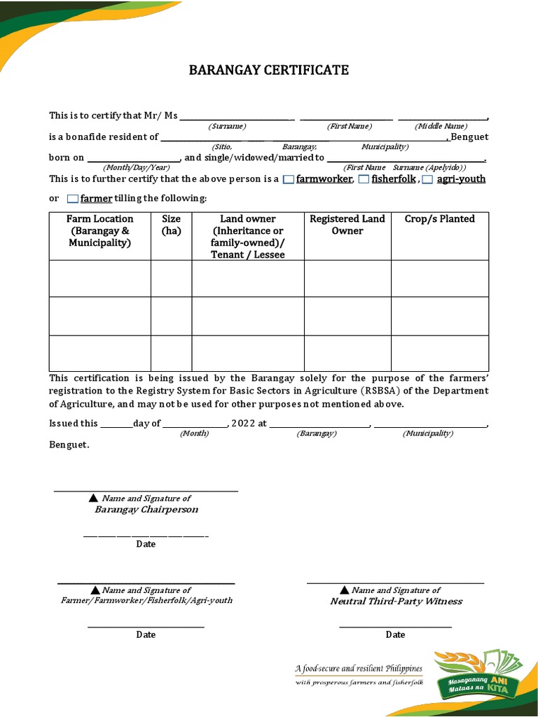 Rsbsa Brgy Certification | PDF