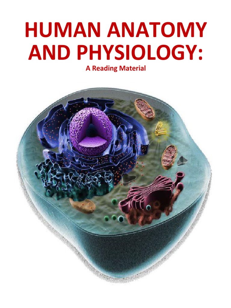 3 - Cells and Tissues | PDF | Mitosis | Endoplasmic Reticulum