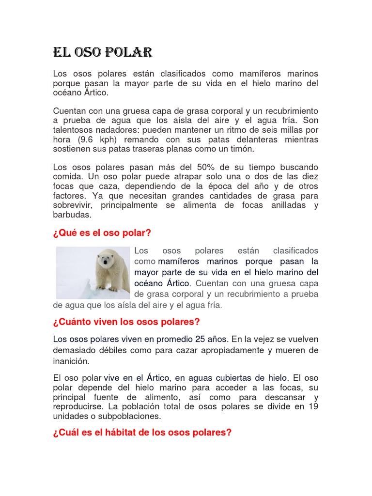 El Oso Polar 1 | PDF | Osos | Pinnípedo