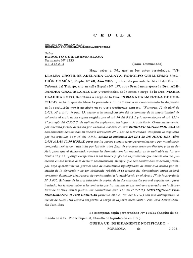 Cédula Demanda | PDF