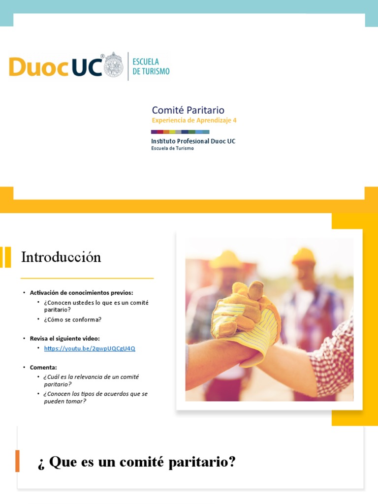 Comité Paritario: Funciones y Normativa | PDF