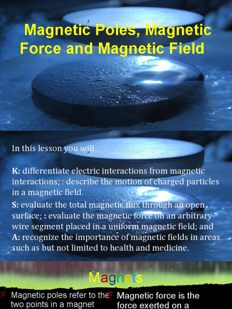 Understanding Magnetic Fields and Forces | PDF | Magnetic Field | Force