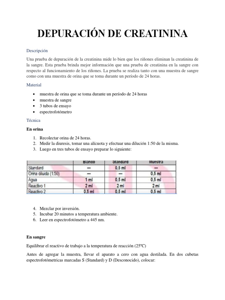 DEPURACIÓN DE CREATININA | PDF