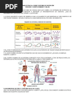 Metabolismo Celular - Actividades de Clase | PDF