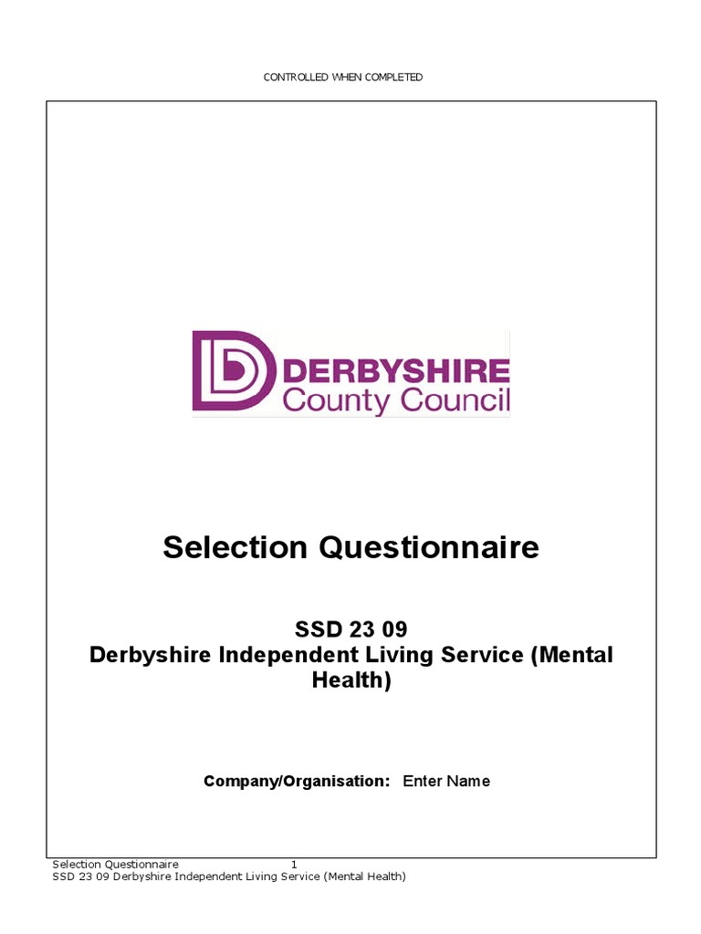 Selection Questionnaire FINAL | Download Free PDF | Income Statement ...