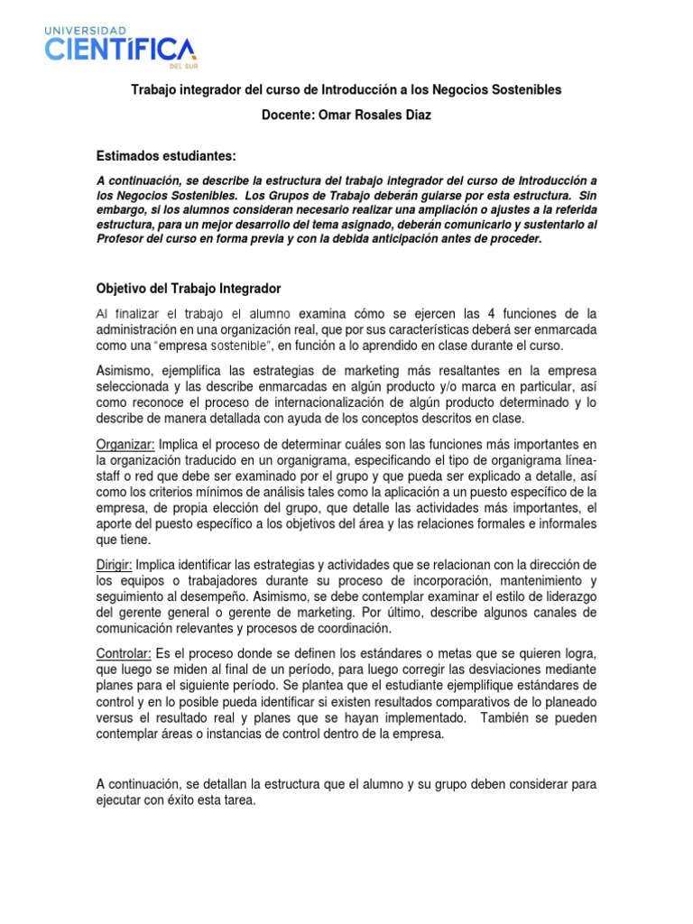 EC3 Trabajo Integrador Final | PDF | Producto (Negocio) | Marca