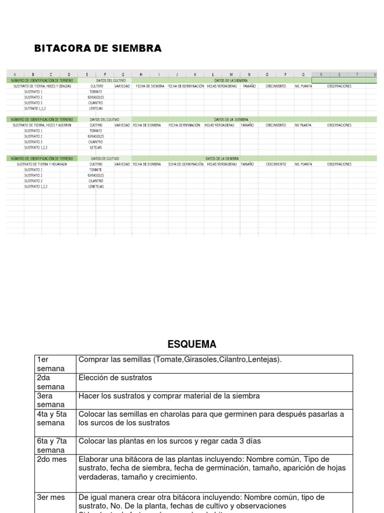 Bitacora y Esquema de Siembra | PDF