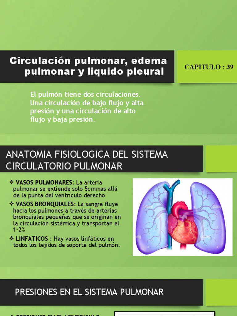 Circulación Pulmonar, Edema Pulmonar y Liquido Pleural | PDF
