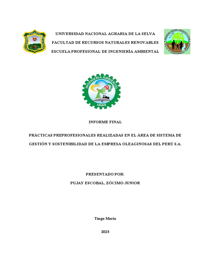 Informe Final Ppp-Pujay Escobal Oficial Imprimir | PDF | Seguridad y salud ocupacional | Riesgo