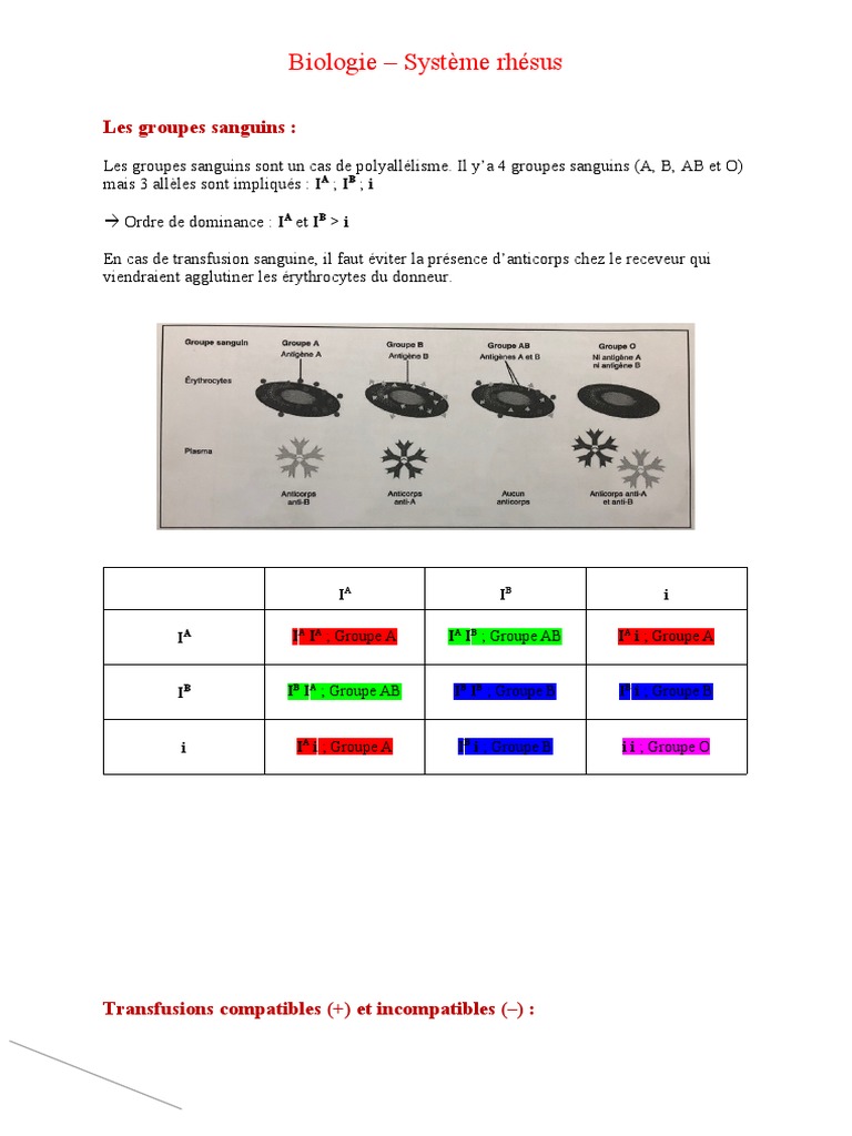 Système Rhésus et Compatibilité Sanguine | PDF | Groupe sanguin | Anatomie