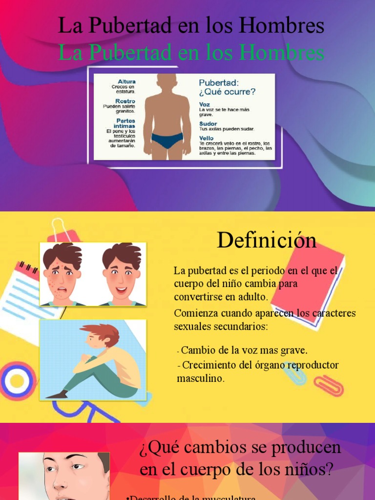 1._ Pubertad en Los Hombres | PDF
