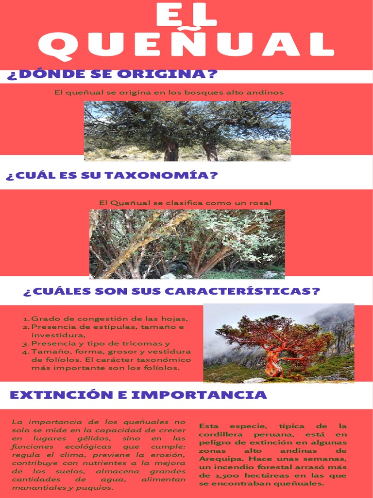 El Queñual | PDF