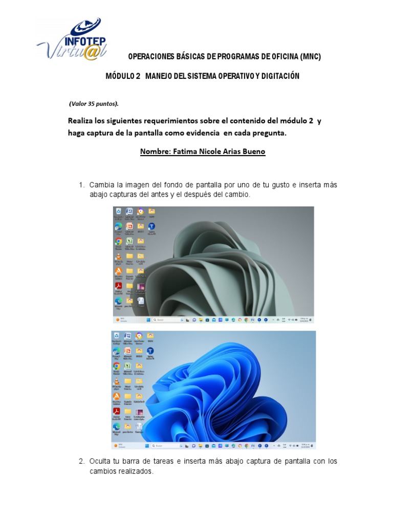 Actividad 1 Mod 2 | PDF