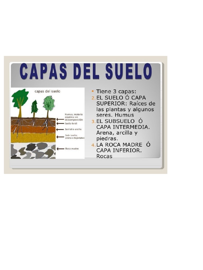 Capas Del Suelo | PDF