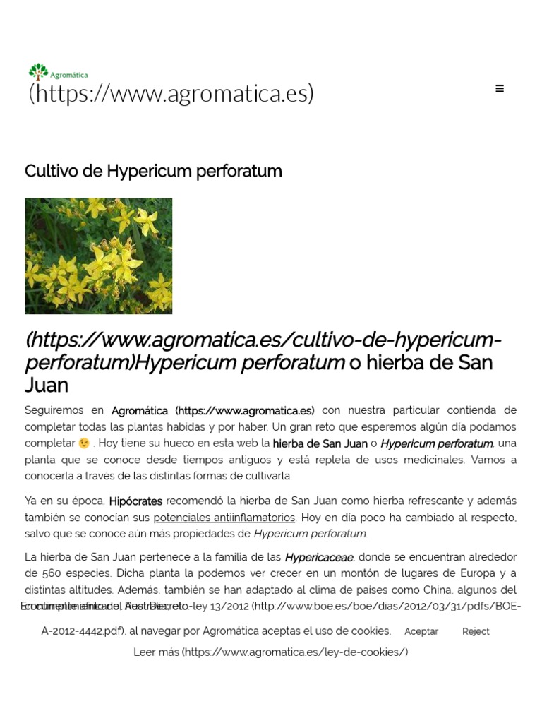 Cultivo de Hypericum Perforatum - Agromática | PDF | Botánica