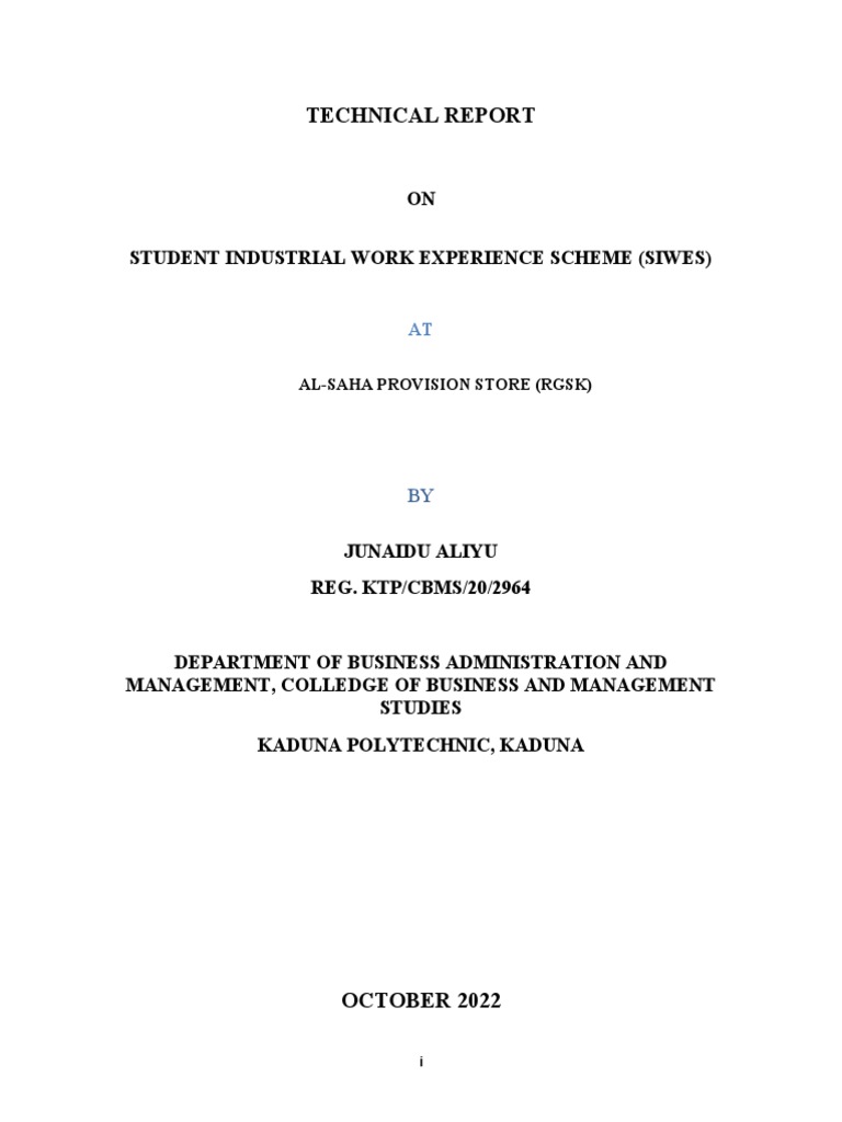 Junaidu Technical Report | PDF | Experience | Theory