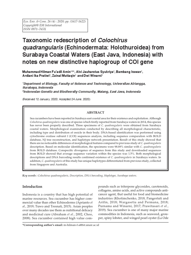 Taxonomic redescription of Colochirus quadrangularis (Echinodermata ...