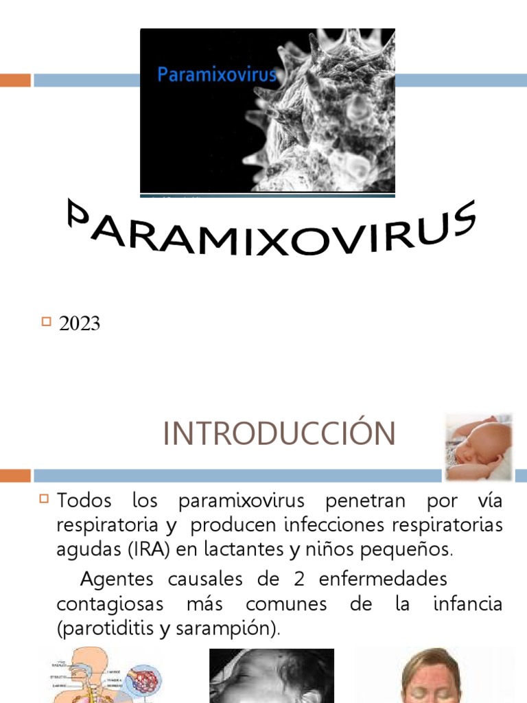 Paramixovirus 2023 | PDF | Virus | Sarampión