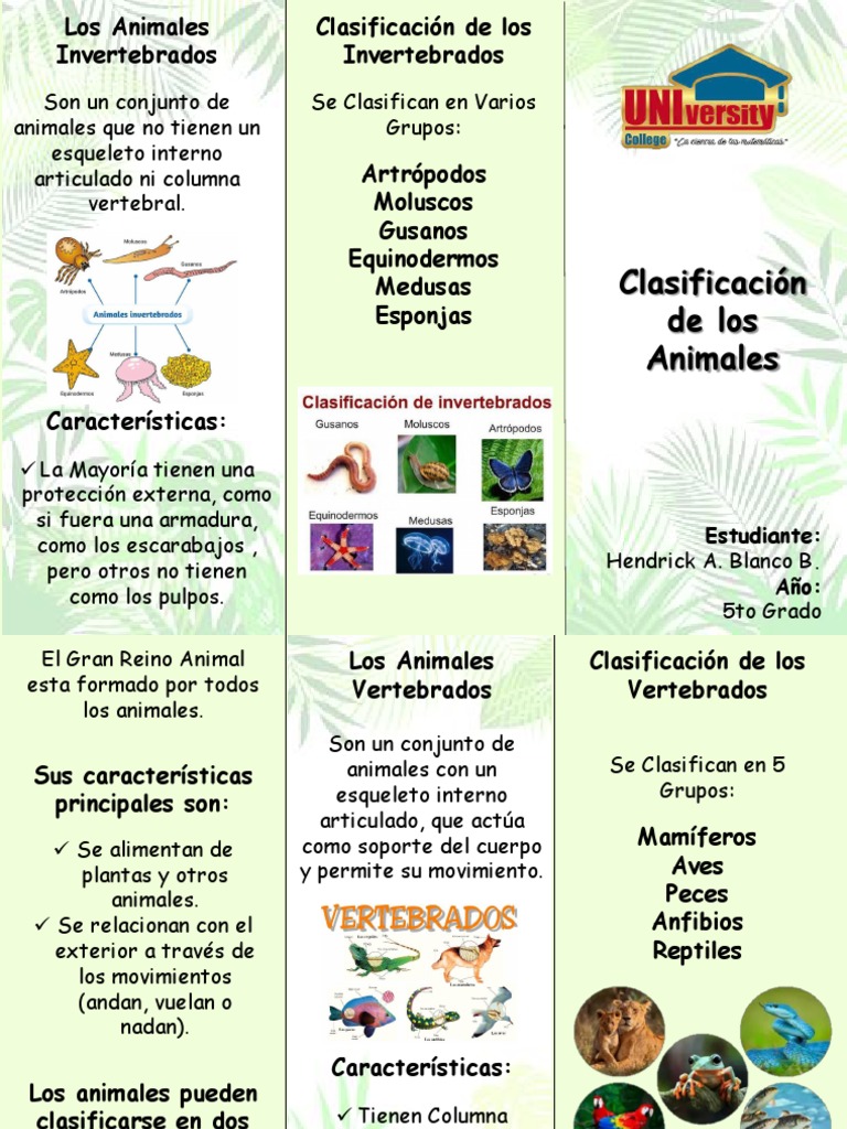 Triptico Clasificacion de Los Animales | PDF