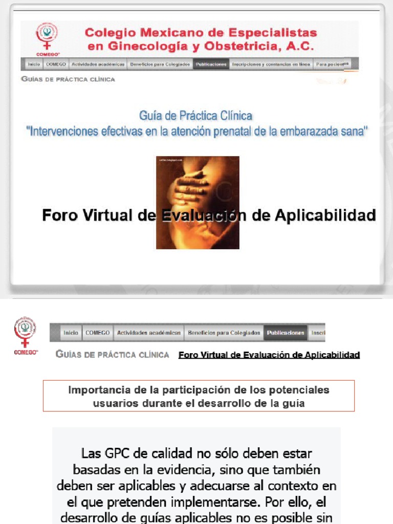 Borrador Foro Aplicabilidad 0513 | PDF