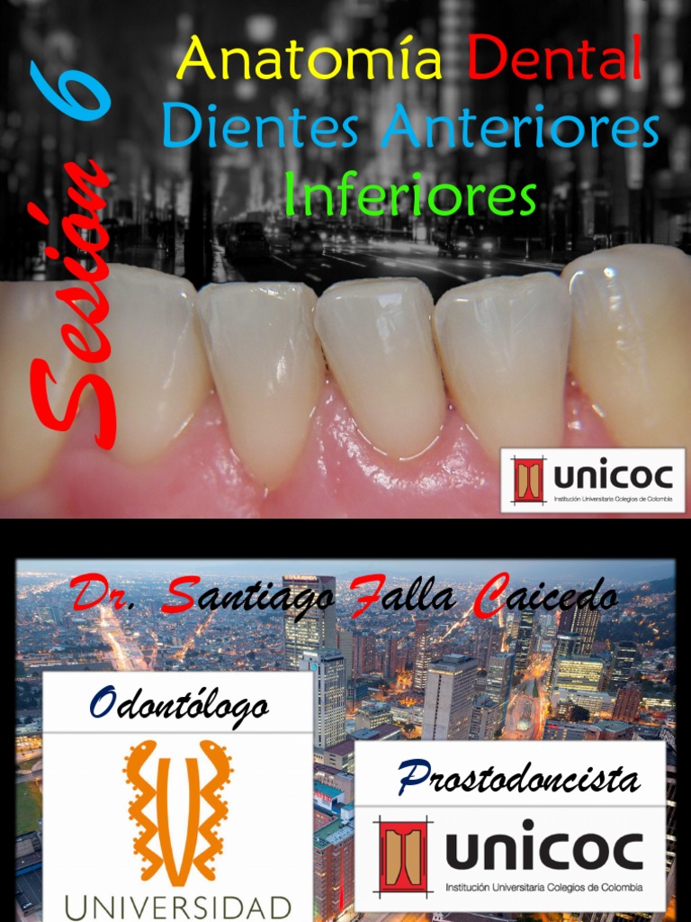 Sesion 6. Dientes Anteriores Inferiores | PDF | Odontología | Ramas de ...