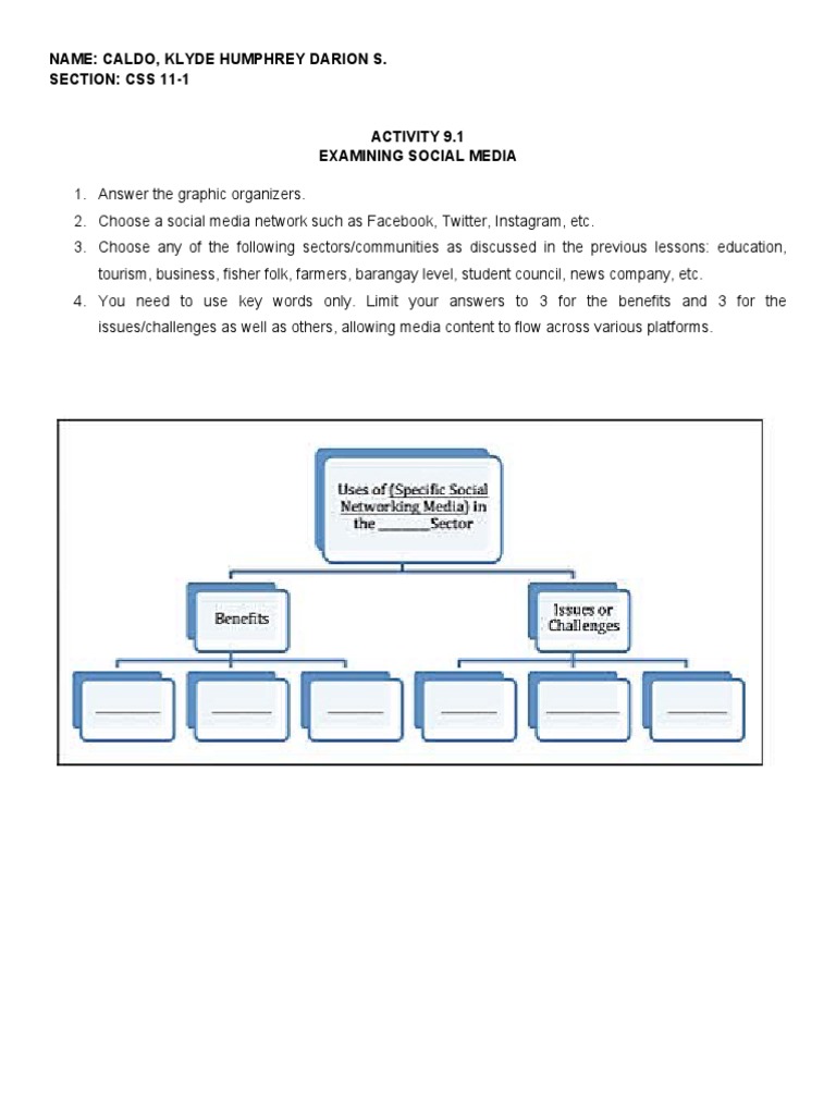 Lesson 9 - Activity 9.1 - Examining Social Media | PDF