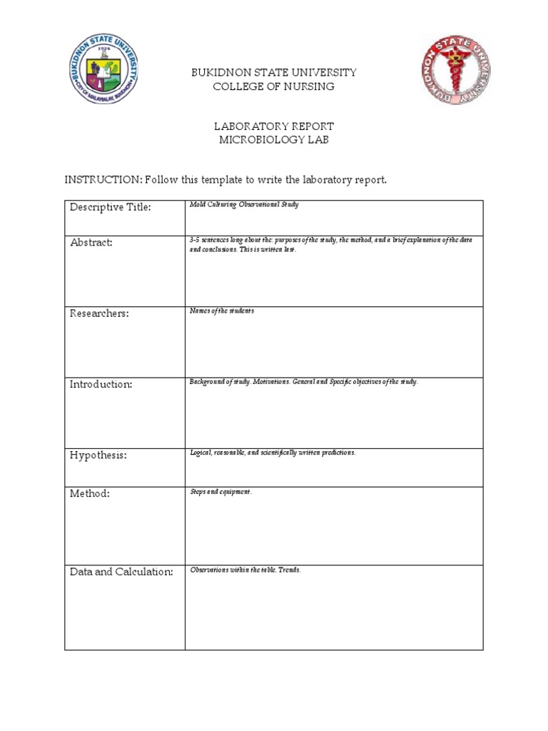 Mold Culturing Lab Report | PDF | Laboratories | Observation