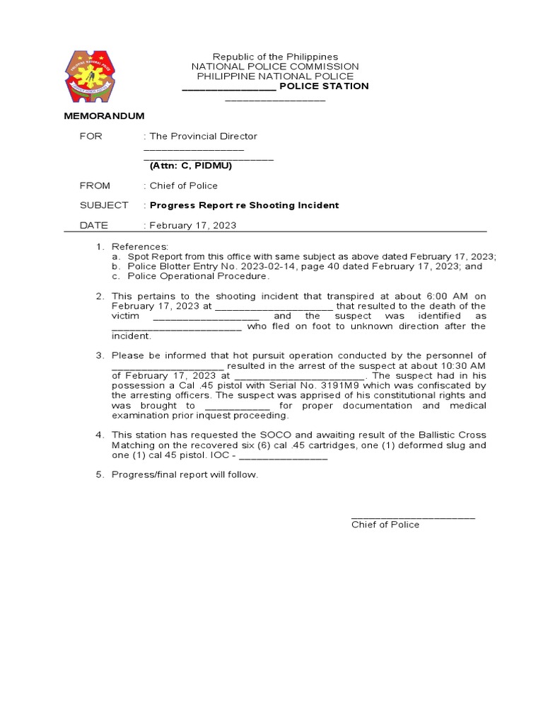 Progress Report - Shooting Incident | PDF