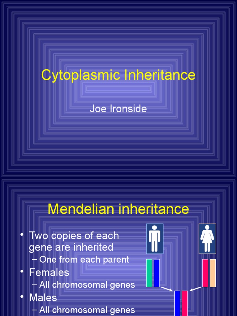 Understanding Cytoplasmic Inheritance | PDF | Eukaryotes | Mitochondrion