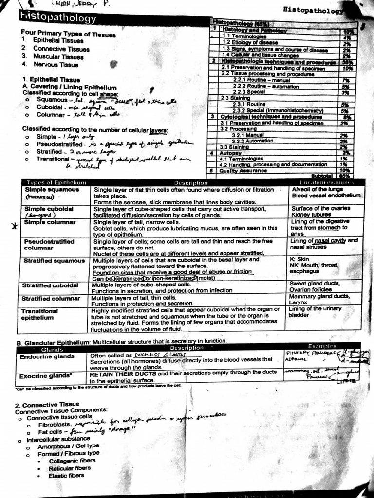 Histopathology Lemar | PDF