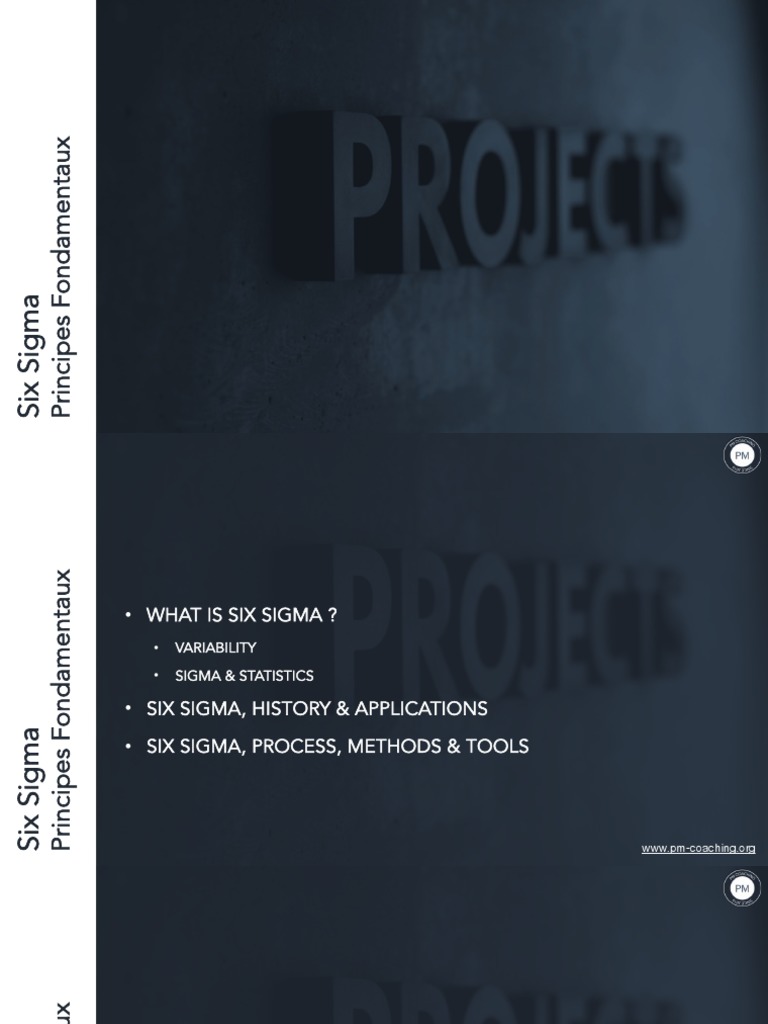 Six Sigma for Process Improvement | PDF | Six Sigma | Lean Manufacturing