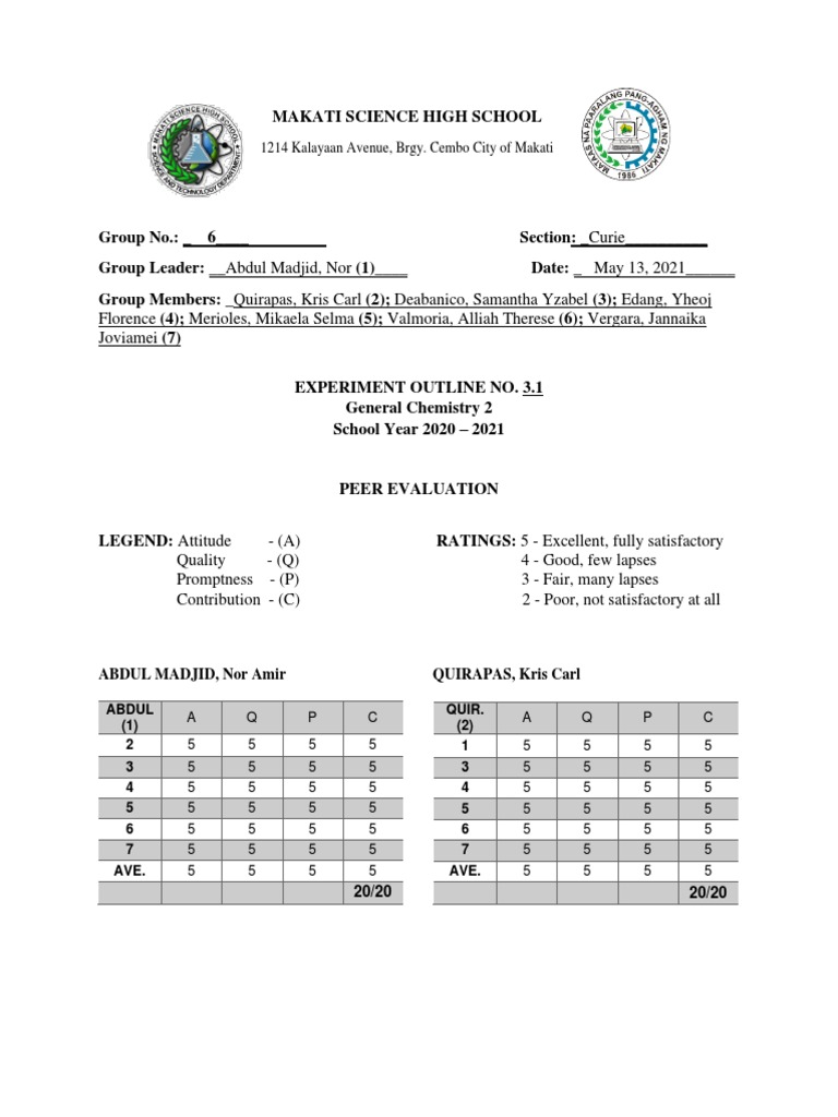 Peer Evaluation (Group 6) | PDF