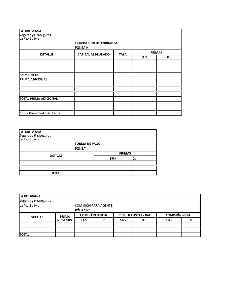 Formato de Liquidación Seguros | PDF