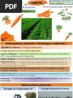 Guide de culture du macabo au Cameroun | PDF | Fertilisant | Maïs