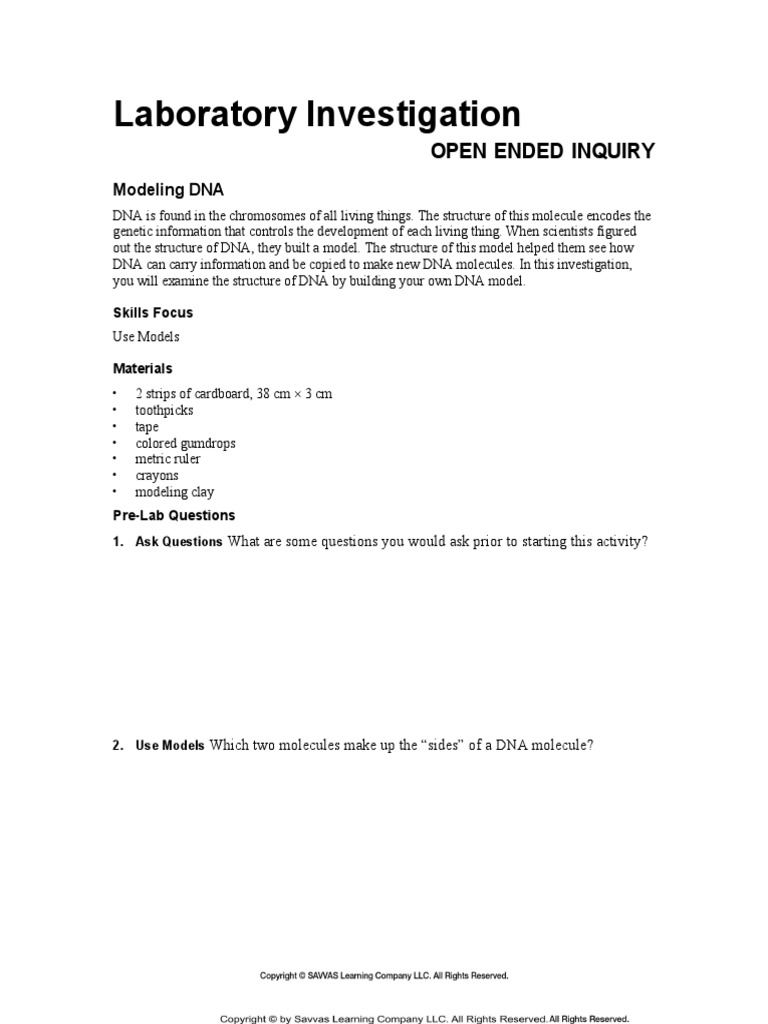 Modeling DNA Lab | PDF | Dna | Molecular Biology